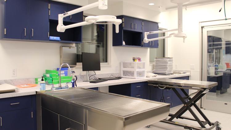Placer SPCA set to open new veterinary and foster care center on ...