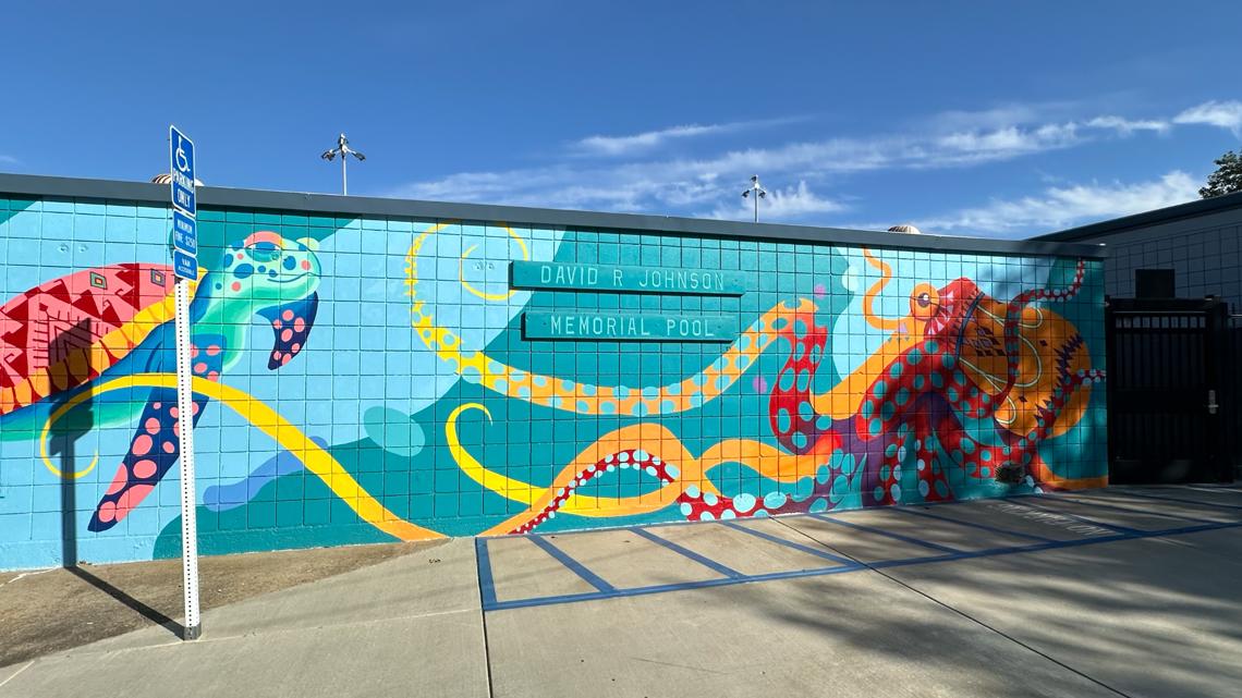 Roseville's Johnson Pool undergoing renovation project | abc10.com