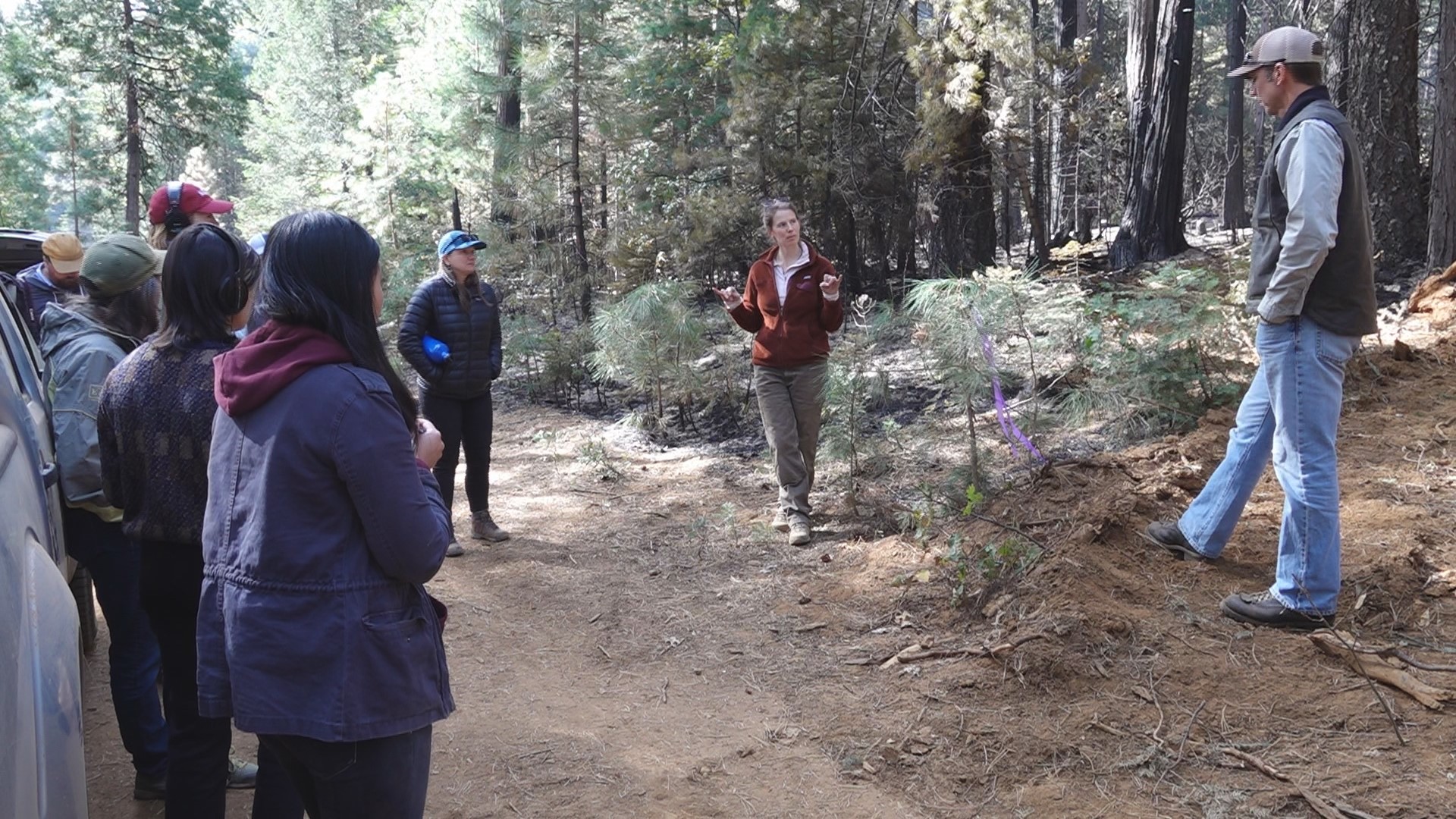 Testing wildfire fuel management in the Sierra | abc10.com