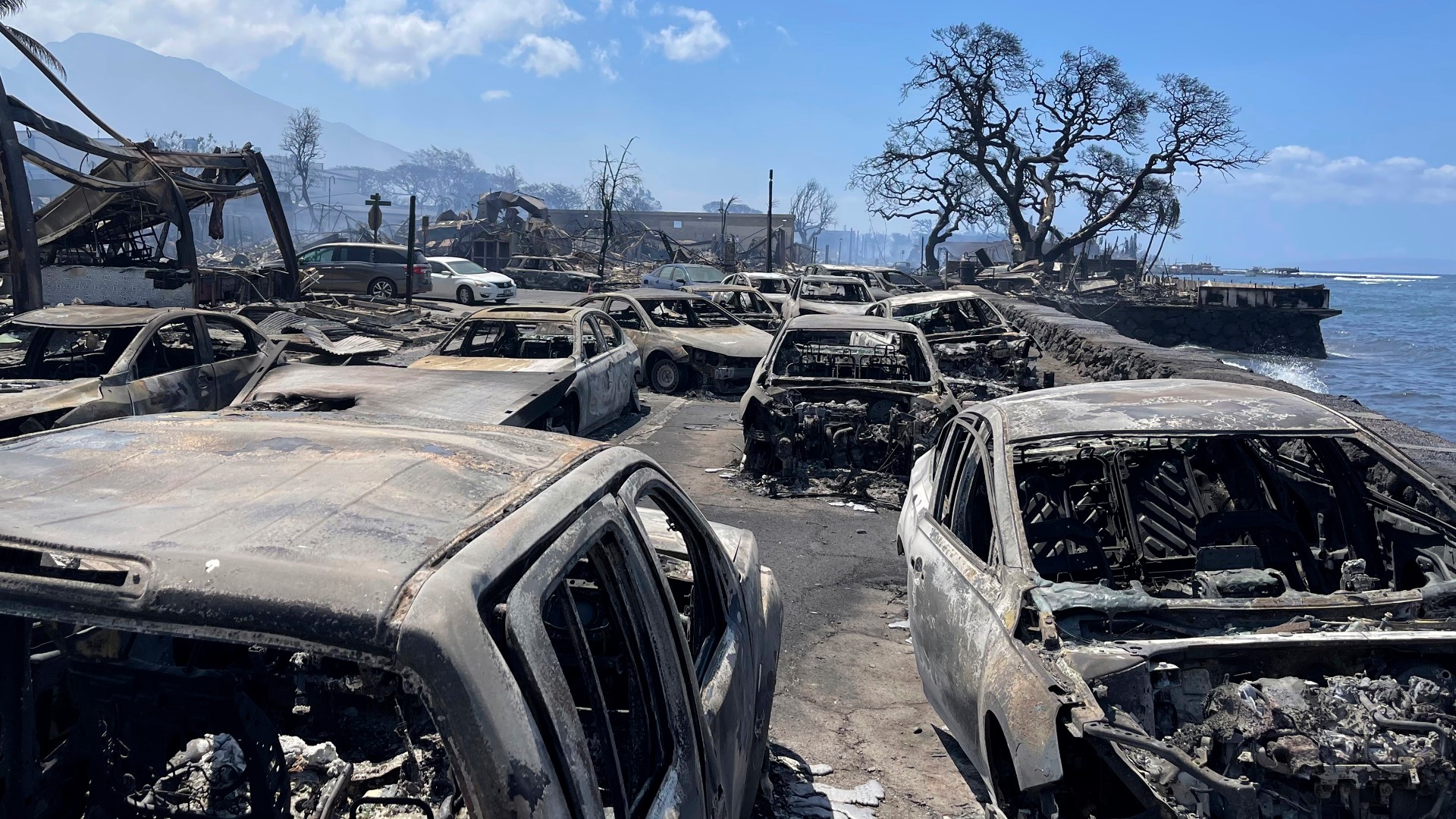 Maui Fire Pictures: Death toll, maps, updates in Hawaii | abc10.com