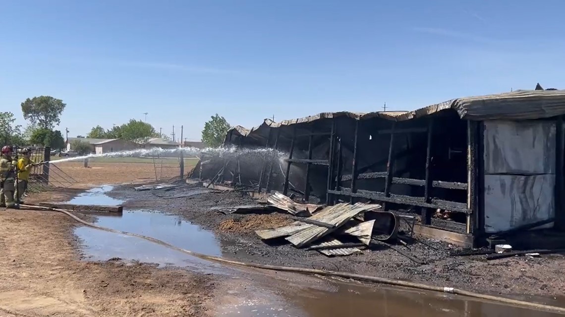 Crews tackle barn fire which left multiple horses dead | abc10.com