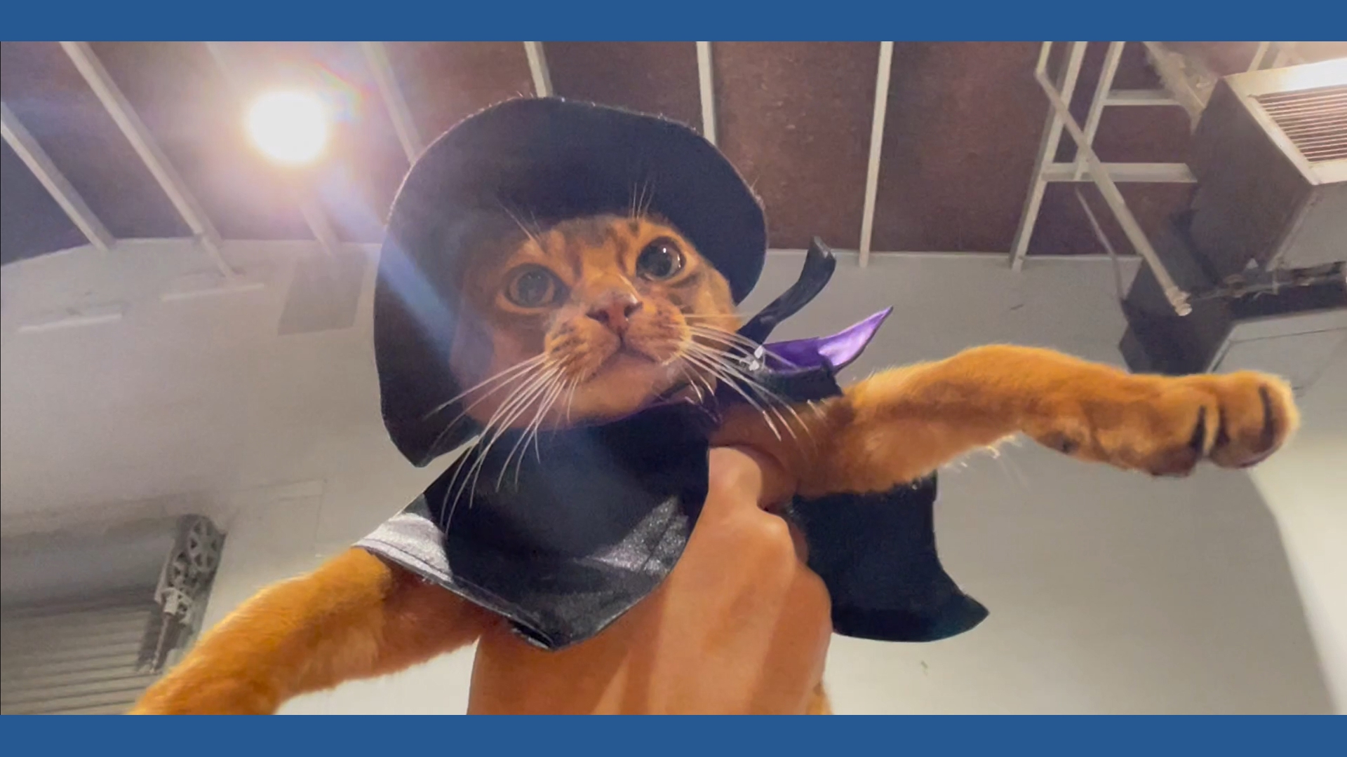 Bride and groom among 8 killed in gas cylinder blast at wedding in ...