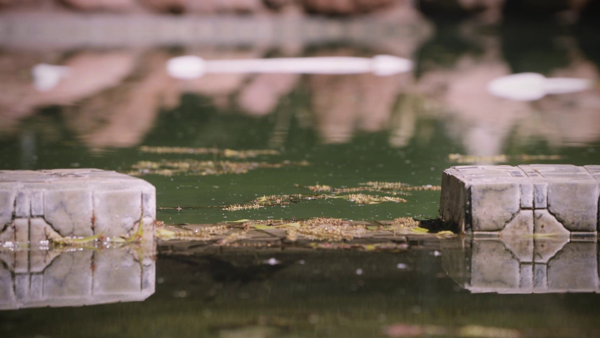 Serial squatters in Sacramento County: What we found | abc10.com