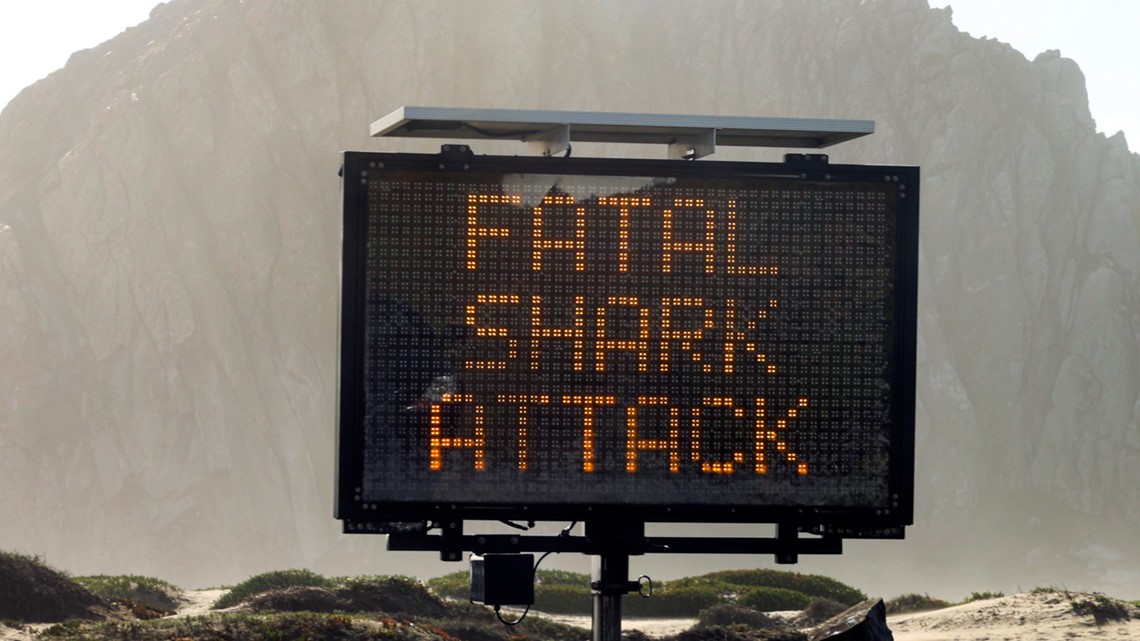 Morro Bay shark attack victim was from Sacramento | abc10.com