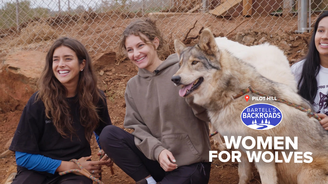Women for Wolves is giving second chances to both people and animals ...