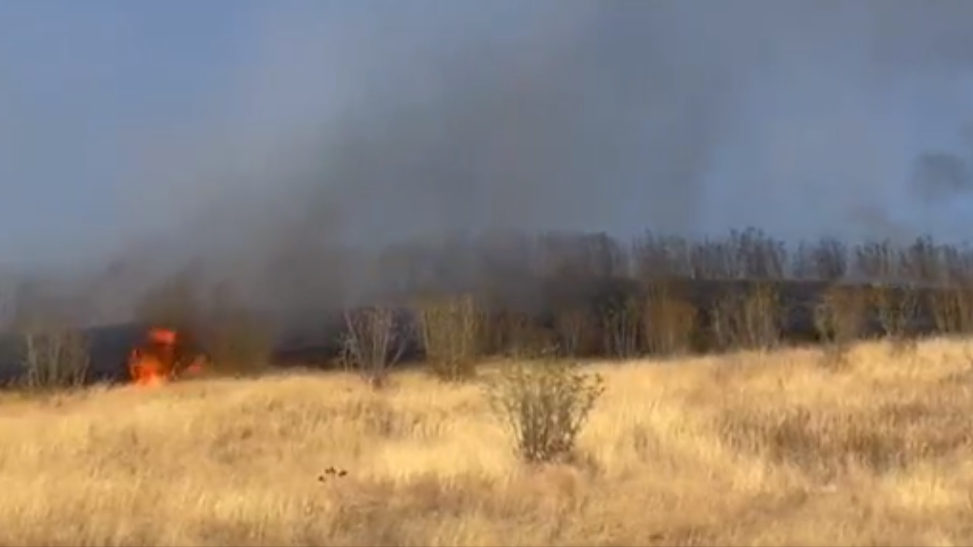 Loyalton Fire in Sierra County: Evacuations added as fire grows | abc10.com