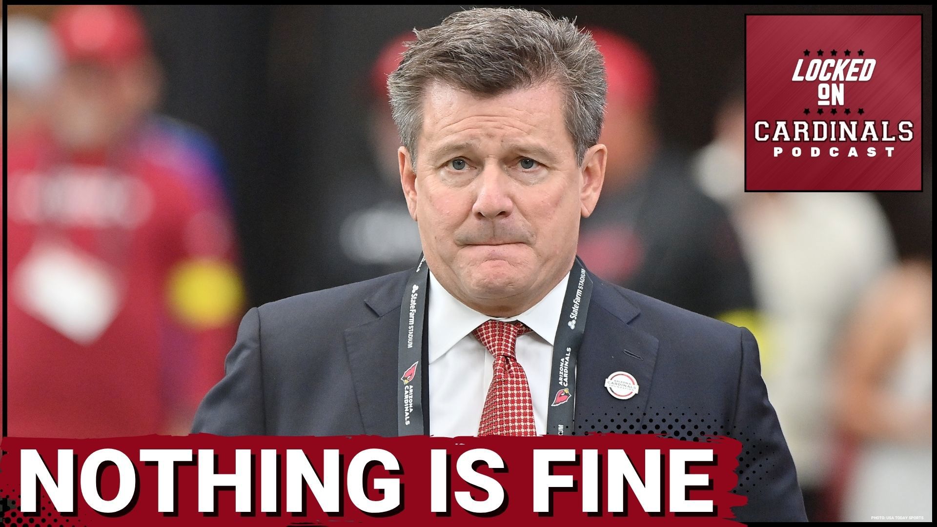 NOTHING IS FINE: Arizona Cardinals Owner Michael Bidwill Bungles Again ...