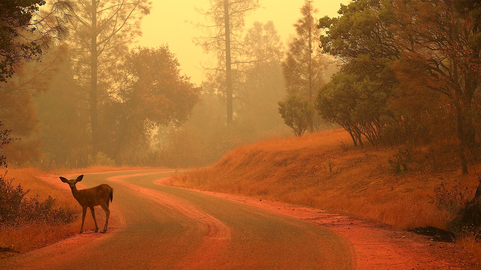 Carr Fire: Latest maps of fire and Redding road closures | abc10.com