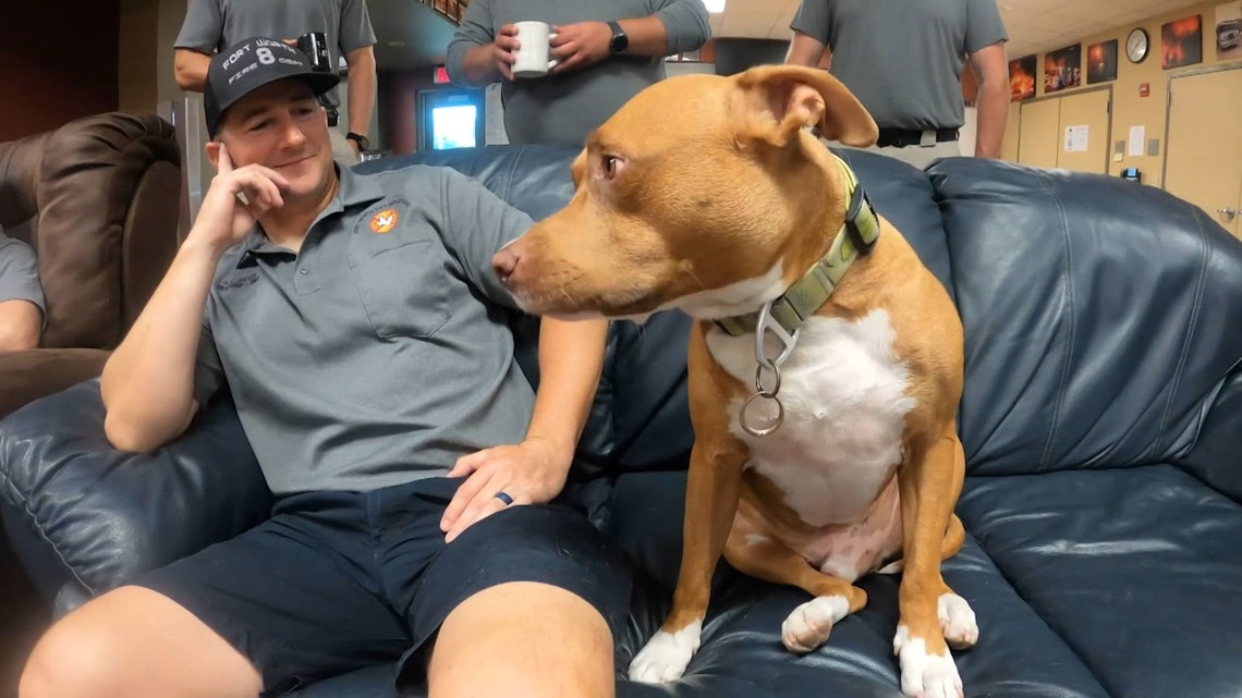 A Texas veteran surrendered his dog to a fire station. Now they both ...