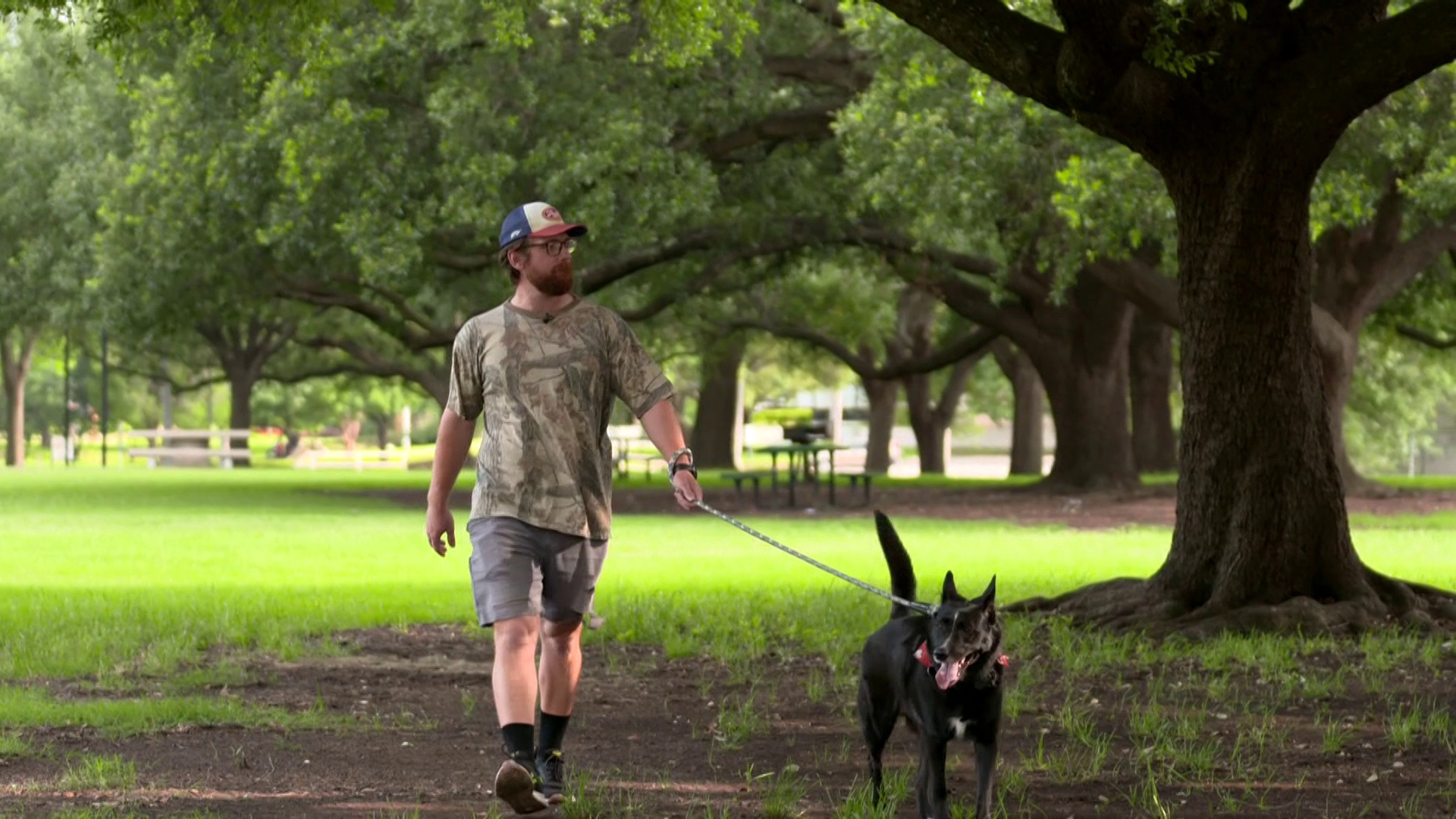 CHP introduces stealth patrol cars | abc10.com