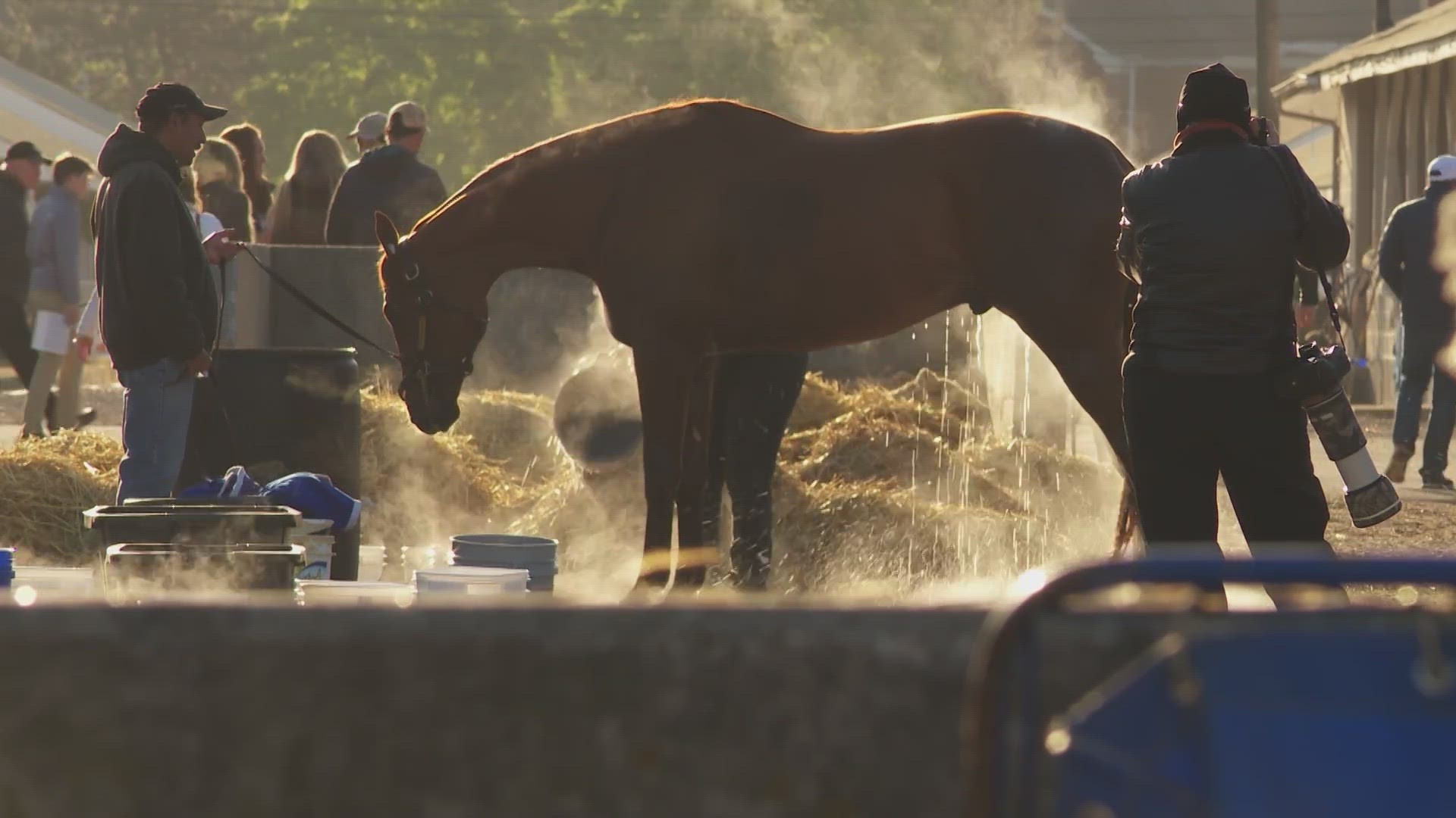 Horse deaths top of mind as racing continues at Ellis Park | abc10.com