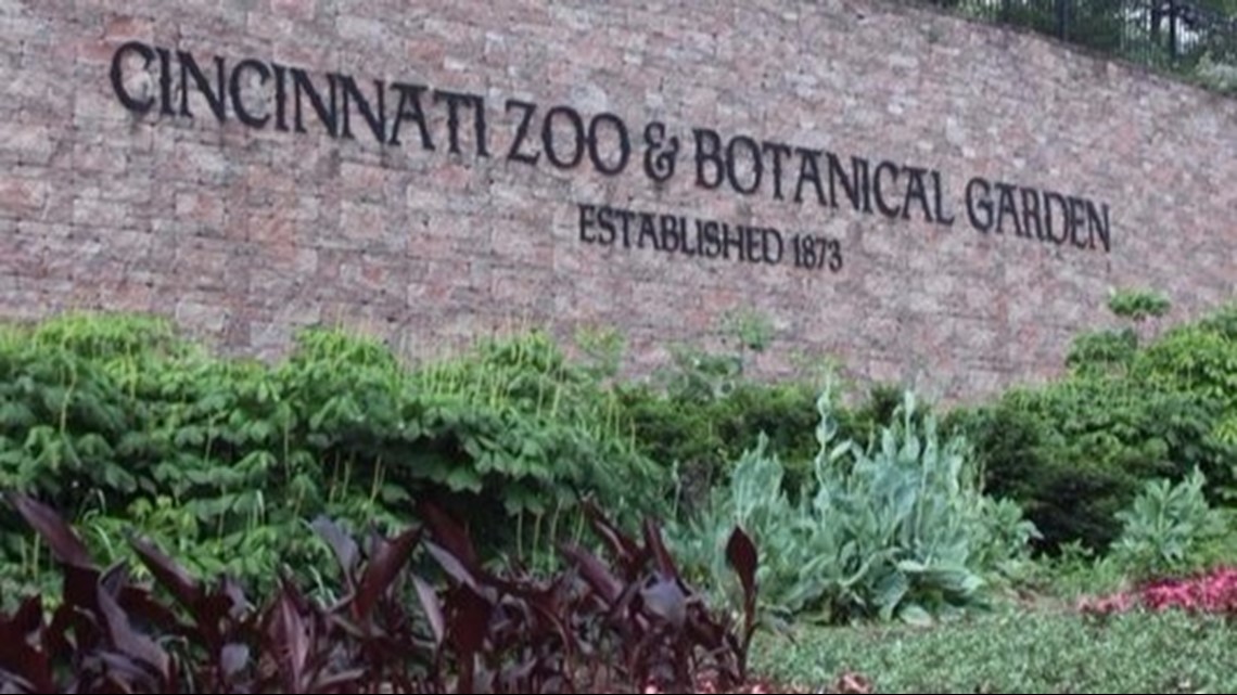 Cincinnati Zoo to start 'Home Safari Facebook Live' to keep kids ...