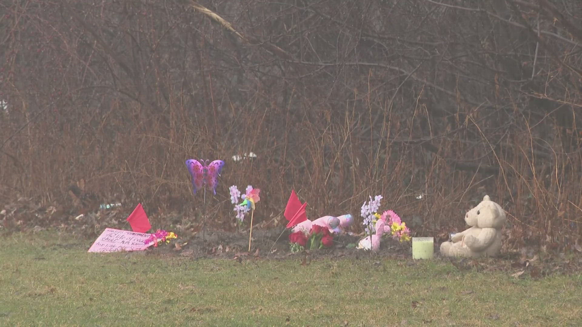 Ohio mother charged with murder after 2 girls found dead inside ...