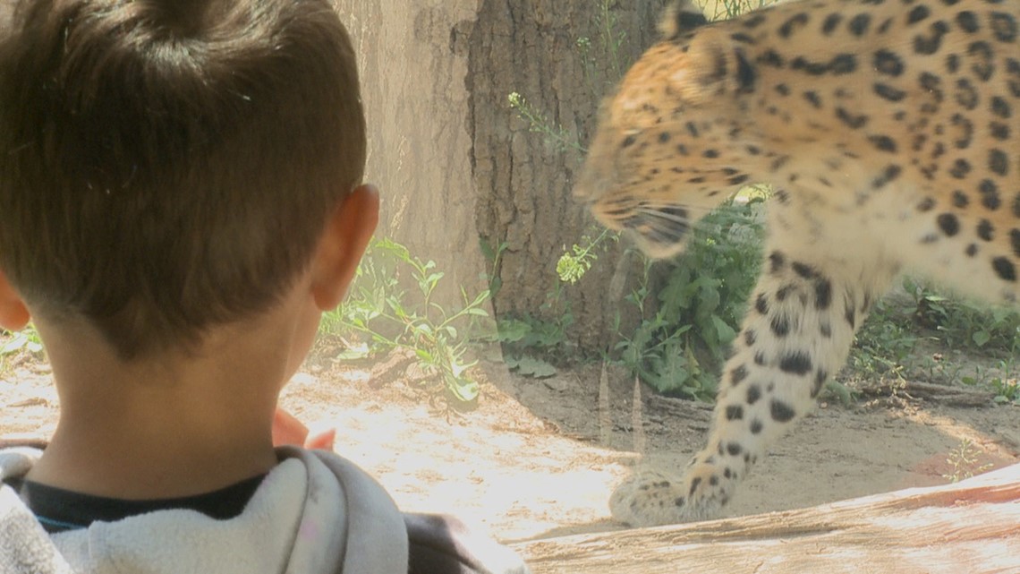 Niabi Zoo helps celebrate 50 years of the Endangered Species Act ...