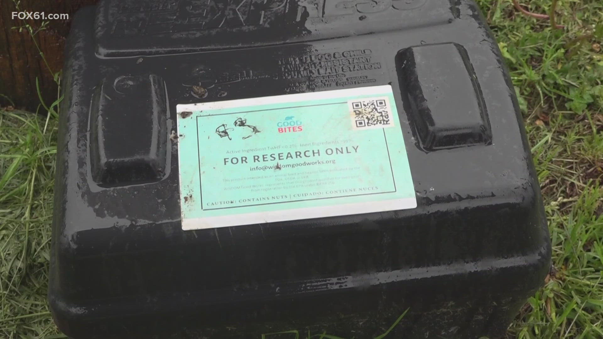 Connecticut uses birth control to reduce rodent populations | abc10.com