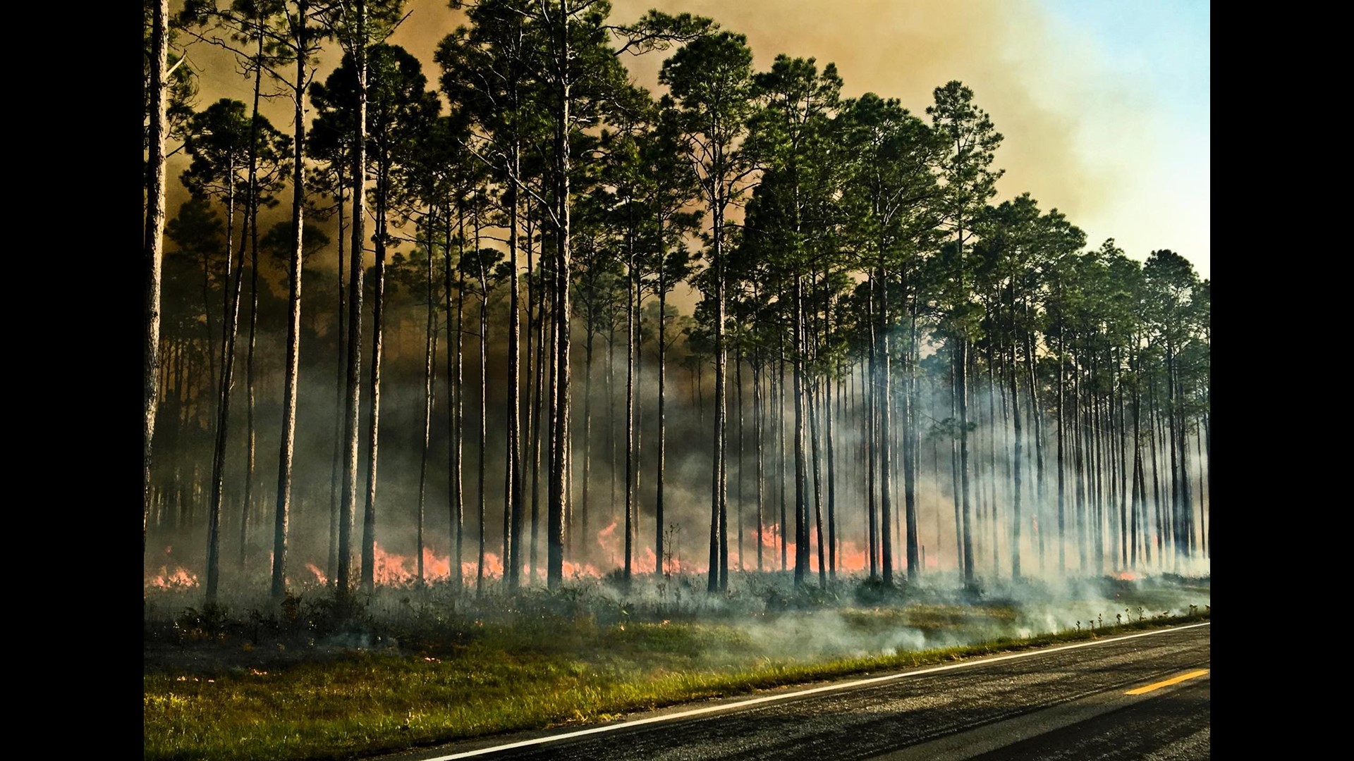 West Mims fire about 60 percent contained after burning more than ...
