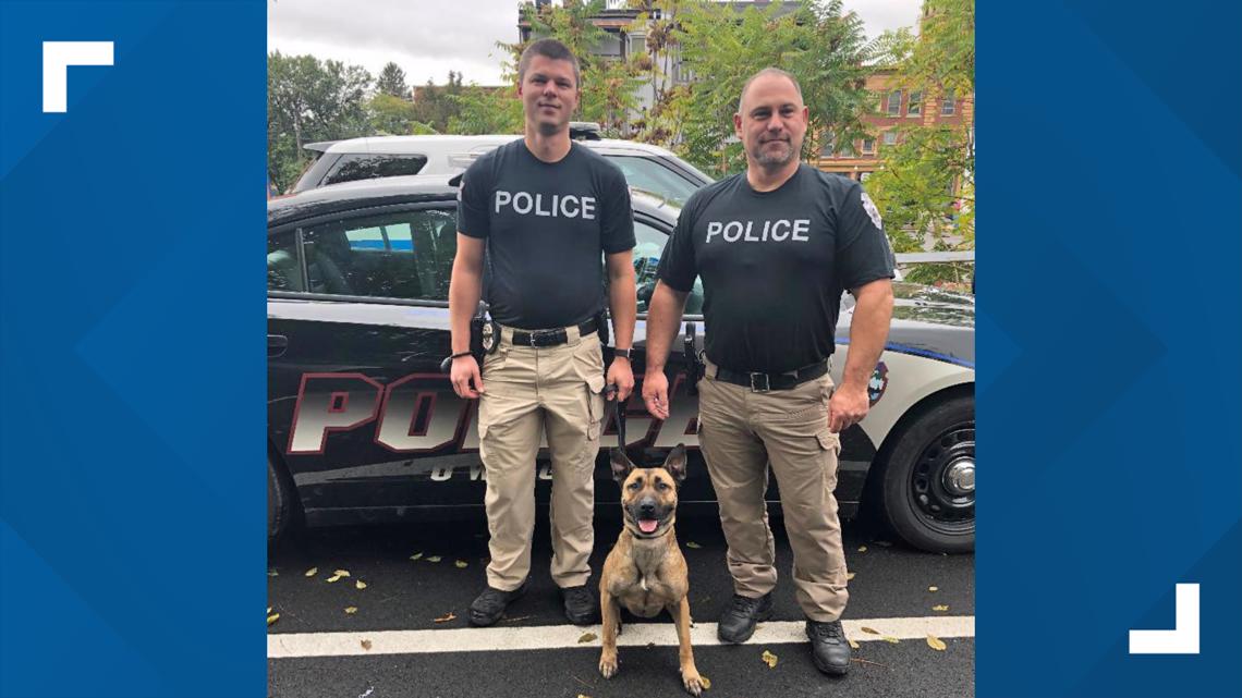 A K-9 beats the odds and trains to become a police dog | abc10.com