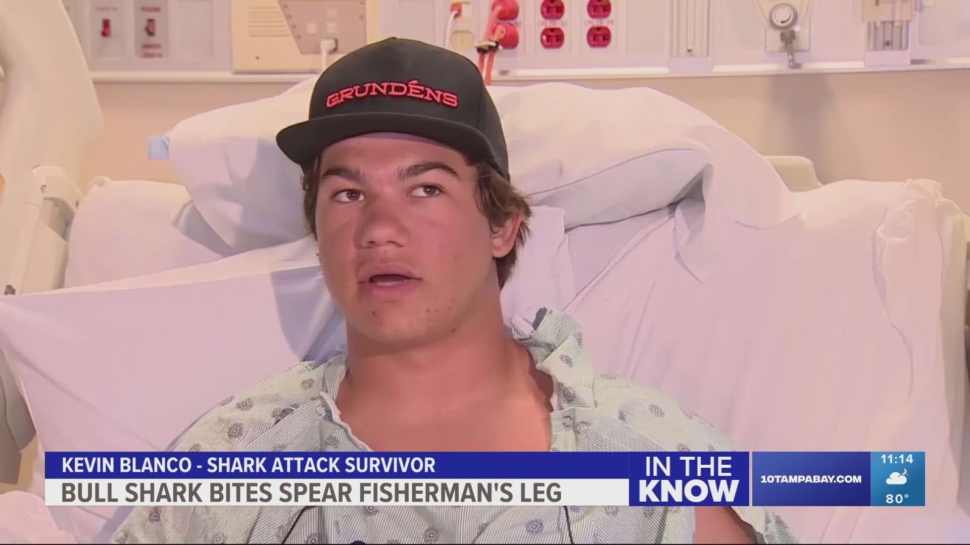 Florida, Hawaii shark bites: How often do sharks bite people? | abc10.com