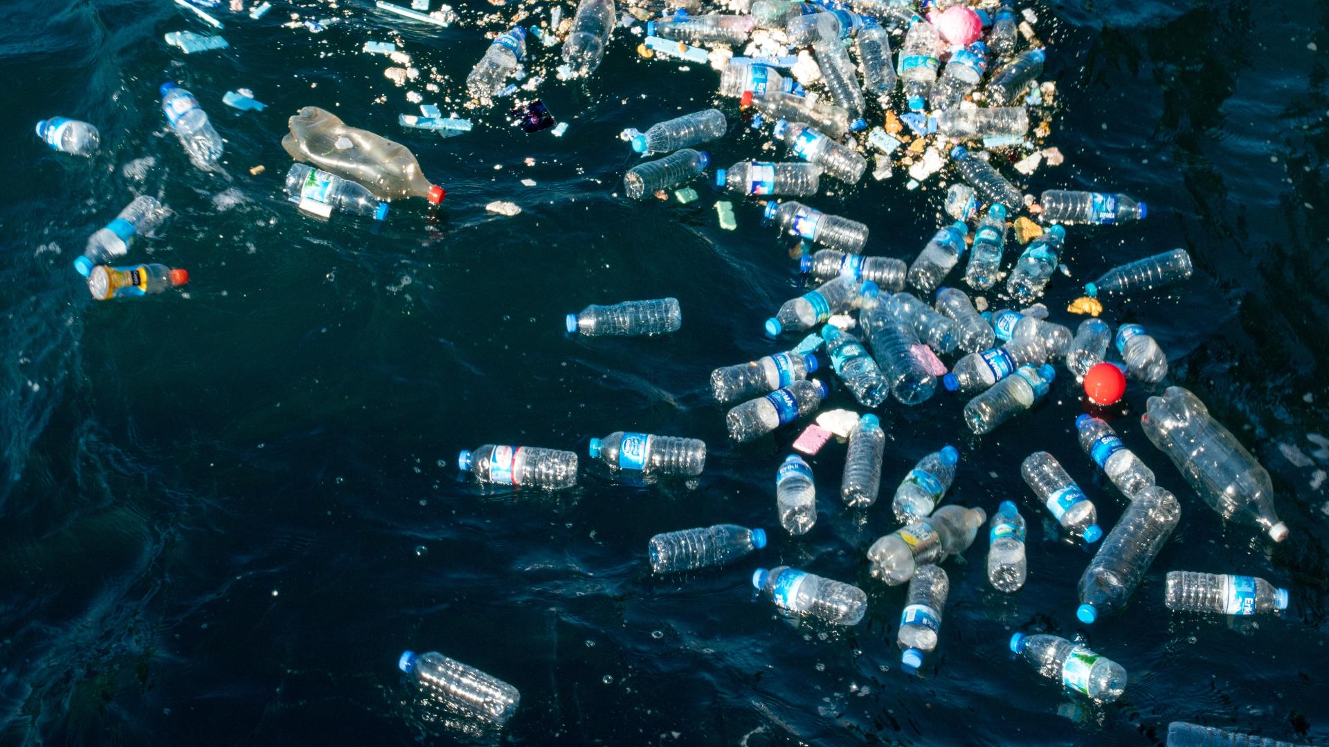 Teens turn themselves in for video dumping trash into ocean | abc10.com