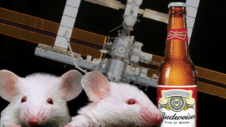 SpaceX Falcon 9 rocket sending 'mighty mice' and beer | abc10.com