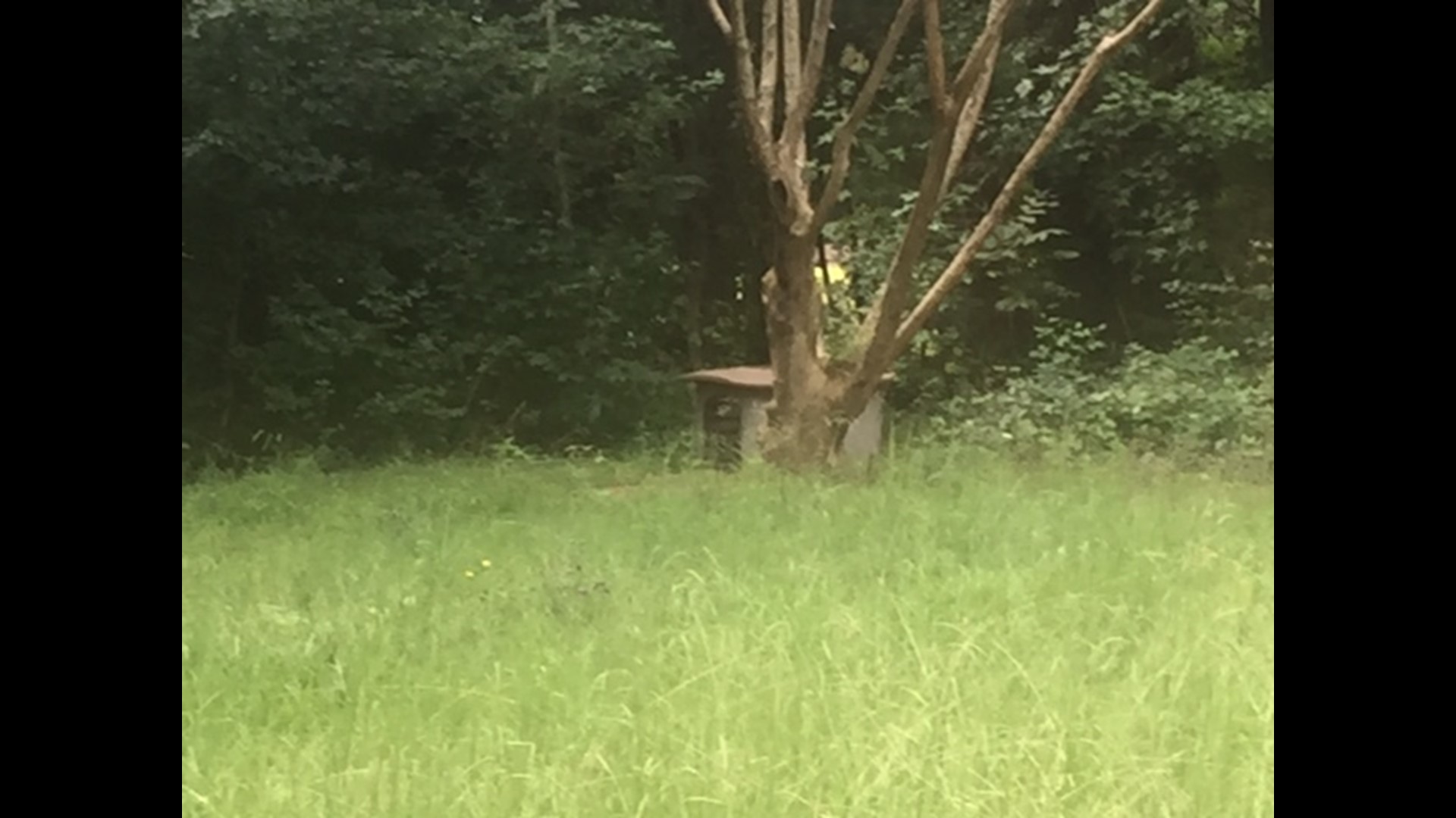 Mom accused of keeping toddlers in makeshift cages indicted | abc10.com