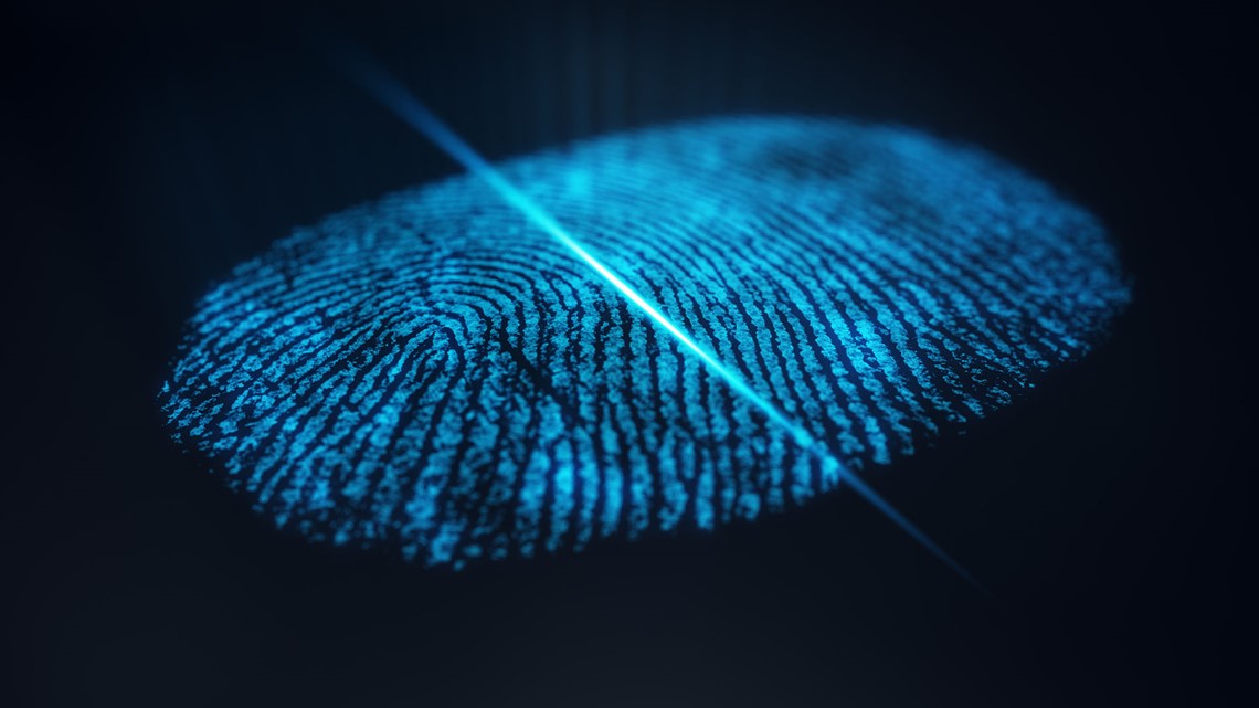 From a fair to fingerprinting: Here's the history behind how we ...