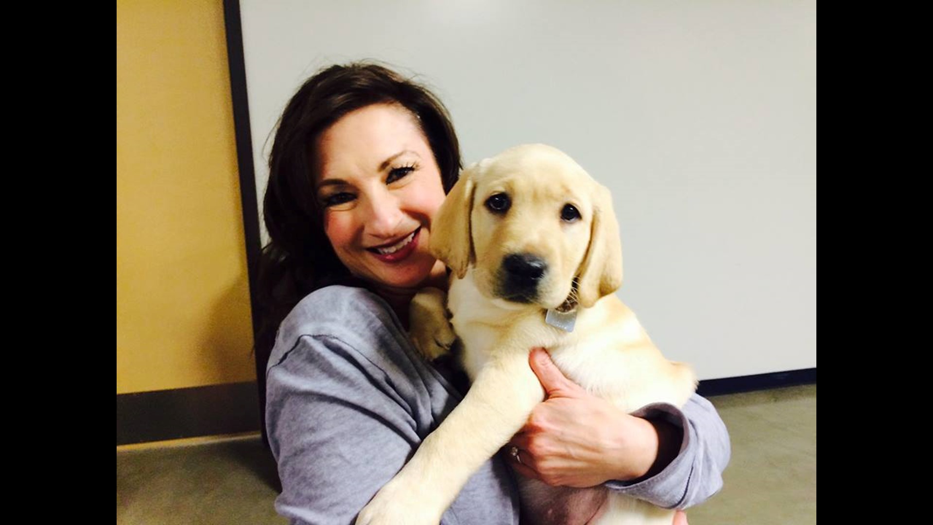 CJ leaves WZZM to continue her Paws With A Cause journey | abc10.com
